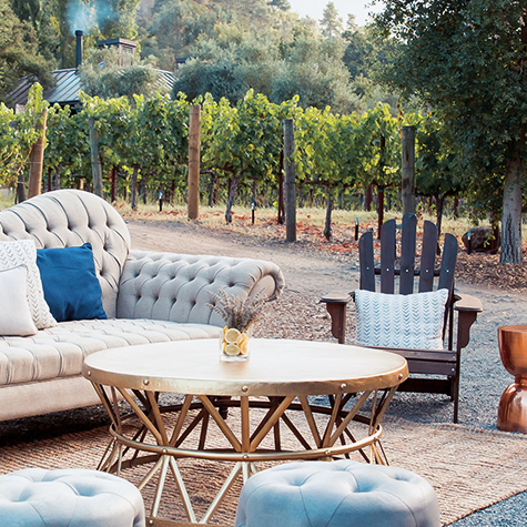 Napa Valley Wine Experience | Program Spotlight with DCi